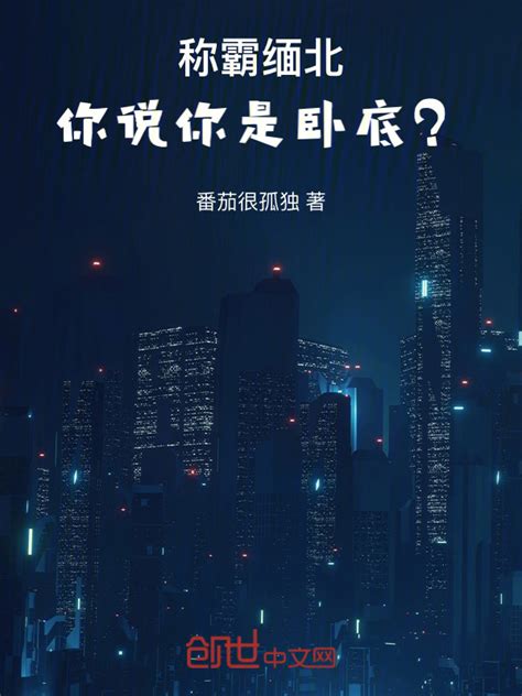 《称霸缅北，你说你是卧底？》小说在线阅读 首发起点中文网