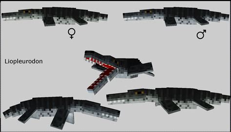 Liopleurodon Fossils And Archeology Mod Revival Wiki Fandom Powered