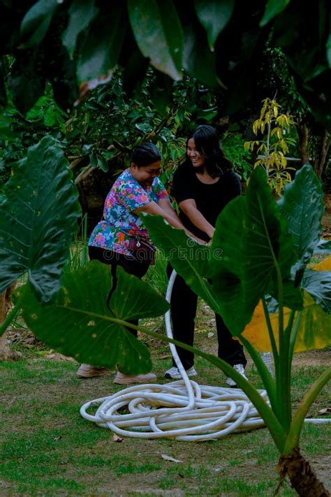 Two Women Working Together In A Lush Garden Environment Stock Image