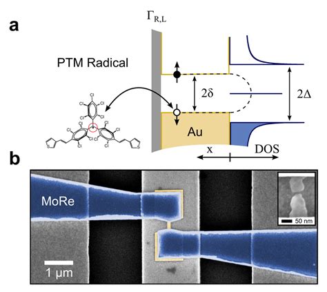 1 Proximity Induced Interaction With An All Organic Radical Molecule