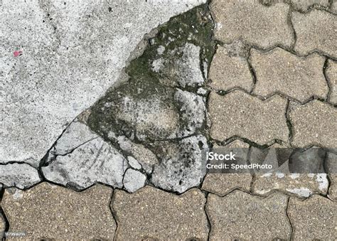 길가에 깨진 우산이 놓여 있는 사진 길가에 빨간 소화전이 놓여 있다 0명에 대한 스톡 사진 및 기타 이미지 0명 거리