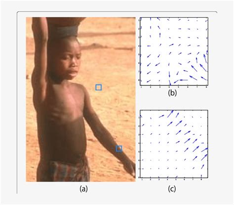 Inverse Variance Of The Weighted Gradient Orientation Barechested
