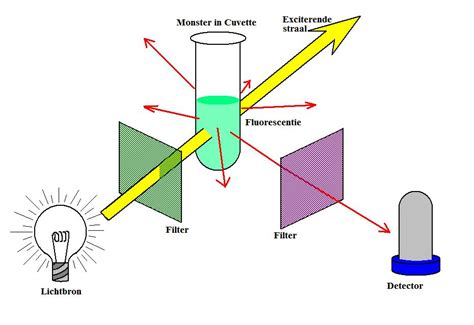 Fluorometer Block Diagram Wiring Diagram Pictures