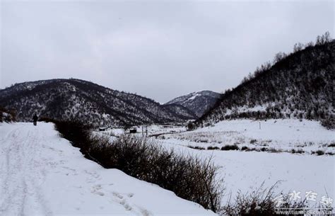 天水在线2012年第二号行动顶风踏雪走古坡 组图 天水在线