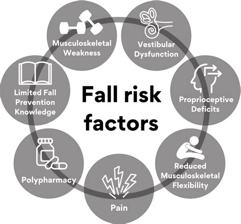 A Conceptual Framework Summarizing Fall Risk Factors That May Be