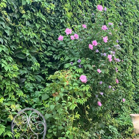Kremmen, Germany 2024: All You Need to Know Before You Go - Tripadvisor