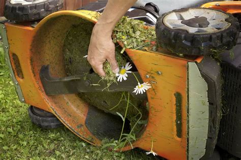 Are Lawn Mower Blades Supposed To Be Loose Or Tight Backyardgadget
