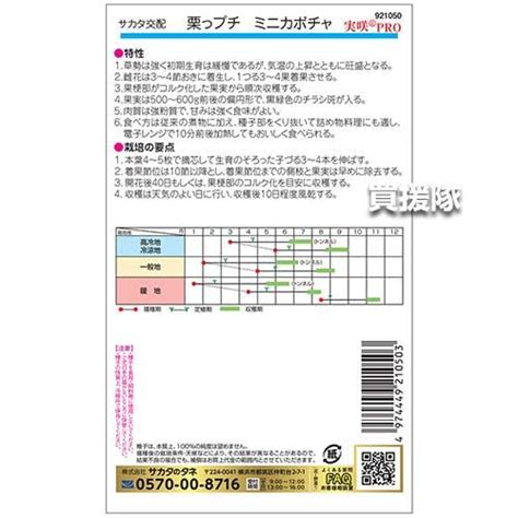 サカタのタネ ミニカボチャ 栗っプチ 約40粒 実咲野菜 Progold 00921050 Sakatane 00921050買援隊ヤフー