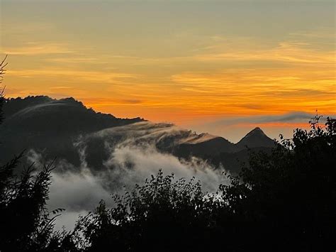 走一趟初秋山林之旅 中秋連假推薦大雪山、八仙山、武陵 蕃新聞