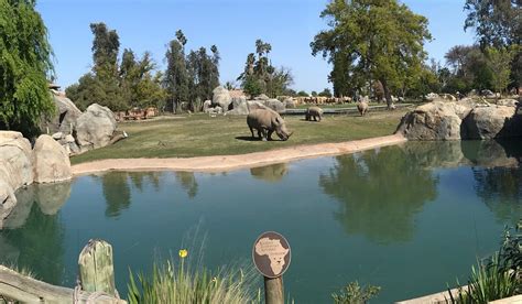 The 15 Best Things To Do In Fresno 2026 Must See Attractions