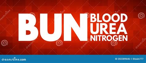 Bun Blood Urea Nitrogen Acronym Stock Illustration Illustration Of Abbreviation Background