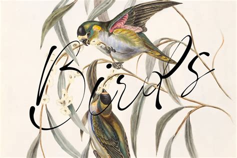 Aerpthine Aesthetic Script Font Design Cuts