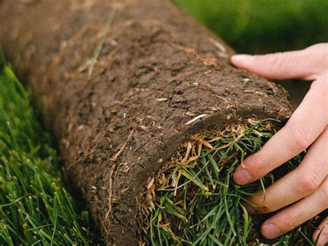 Artificial Turf And Astro Turf Oasis Outdoor Products