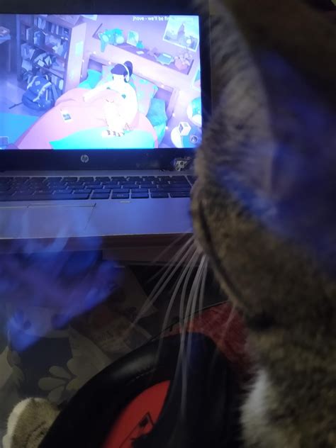 My Cat Loves Chilling And Listening To The Beats Rlofigirl