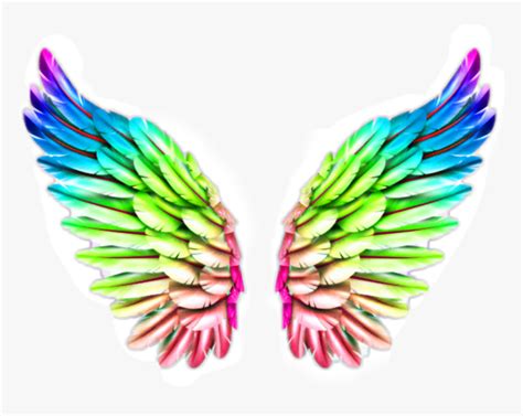 Wings Rainbow Unicorn Rainbowwings Wingsrainbow Colorful Angel