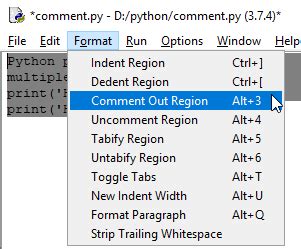 How to Use Comments in Python?