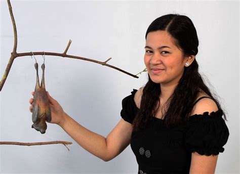 Bat Little Red Flying Fox Jr 100121 Lifesize Models