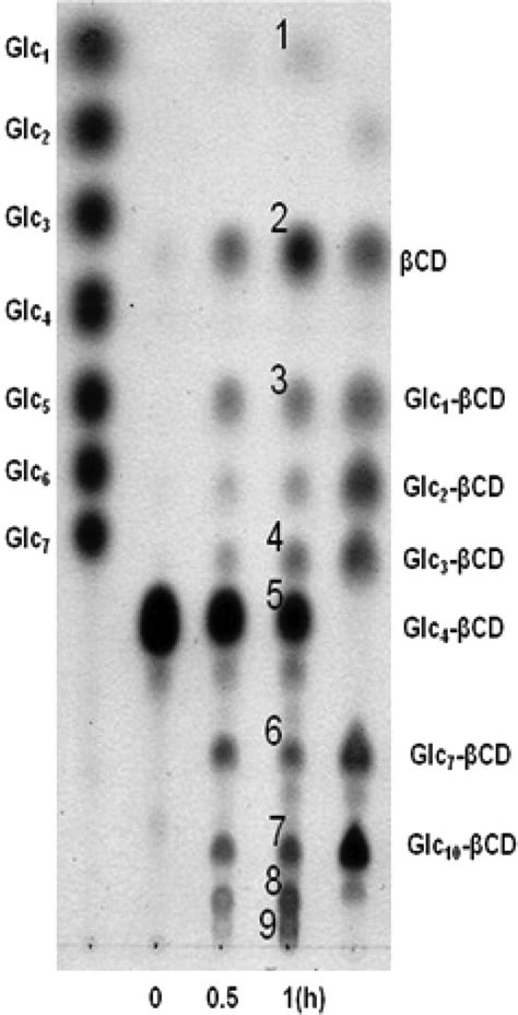 Thin Layer Chromatography Analysis Of Products From Reaction Mixtures Download Scientific