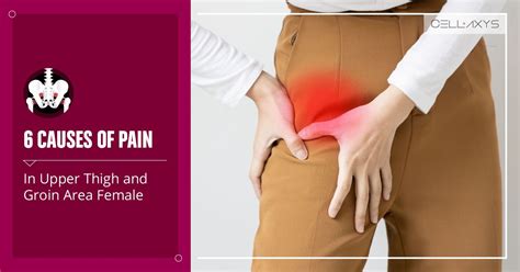 Pain In The Upper Thigh And Groin Area Is A Common Yet Distressing