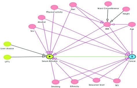 Directed Acyclic Graph To Assess Relationships Between Potential