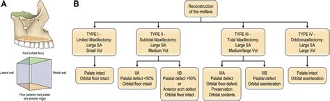 Classification Of The Midface Defect Atlas Of The Oral And
