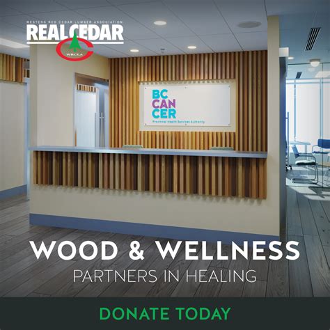Biophilic Design In Healthcare