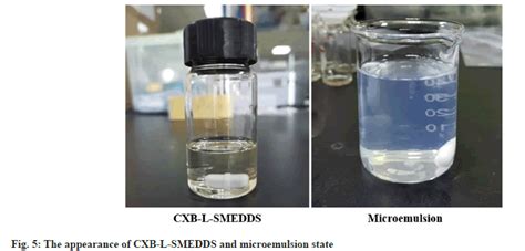 Improving The Oral Absorption Of Celecoxib Via Solid Self Microemulsion