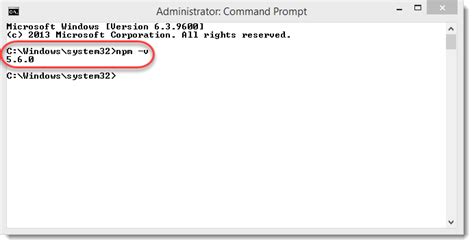 How To Install Newman Using NPM For Continuous Integration