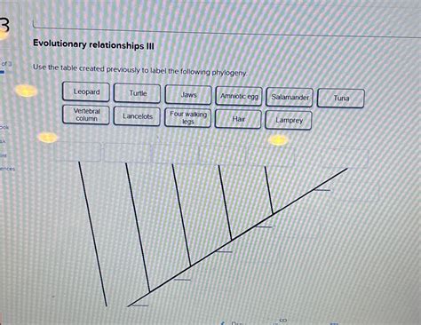 Solved Evolutionary Relationships Iiiuse The Table Created