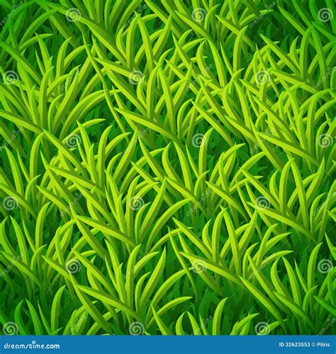 Vector Green Grass Stock Vector Illustration Of Clean