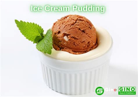 Innovative Ice Cream Pudding Double The Dessert Delight