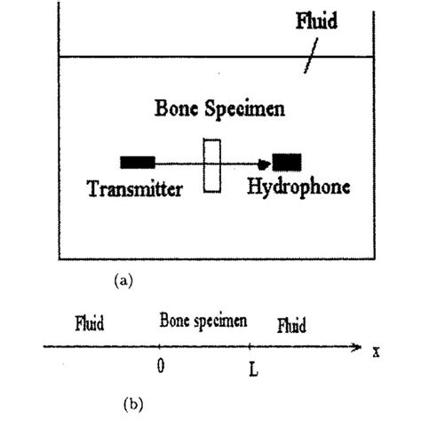 Ultrasonic Propagation Modeling A Experiment Arrangement B Download Scientific Diagram