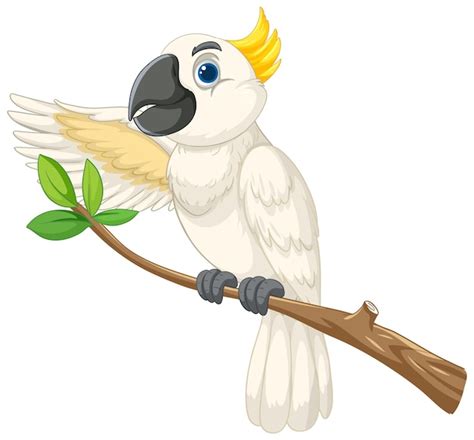 Free Vector Cheerful Cockatoo On A Branch