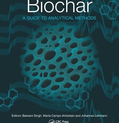 Biochar And The Sem Masons Field Study
