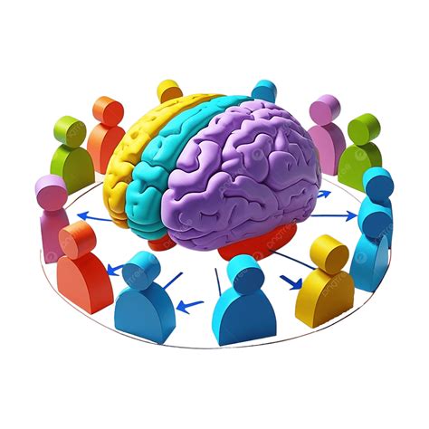 Menselijk Brein Overzicht Anatomie Van Het Menselijk Brein