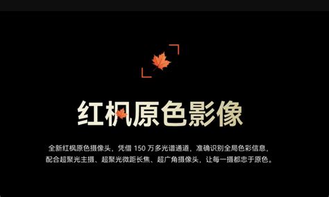 Huawei Pura 70 Pro详细参数 华为pura 80全系标配红枫影像 Huawei Pura 70 Pro 业界资讯 中关村在线