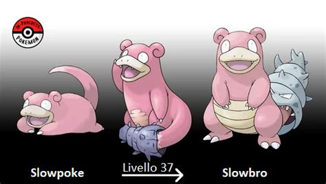 Slowpoke Analisi Pokémon Wiki Fandom