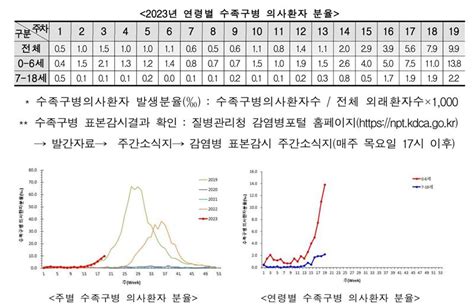 영유아 주의하세요···백신 없는 수족구병 한 달 새 3배 이상 증가 더경남뉴스
