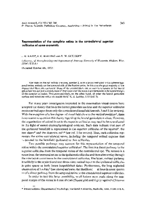 Pdf Representation Of The Complete Retina In The Contralateral