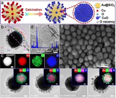 A The Synthesis Of The Aucuo Coresatellite Nanostructure Be Tem