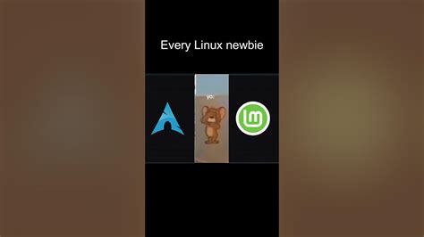 Every Linux Newbie Linux Linuxdistro Youtube