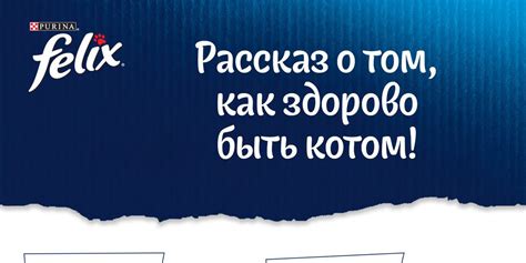 Влажный корм для кошек Felix Природа вкуса курица 75 г X 26 шт купить на Ozon по низкой цене