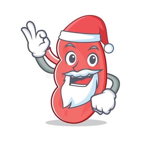 Estilo Dos Desenhos Animados Da Mascote Do Rim De Santa Ilustração do