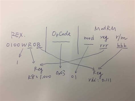A Beginners Guide To X Instruction Encoding Systutorials