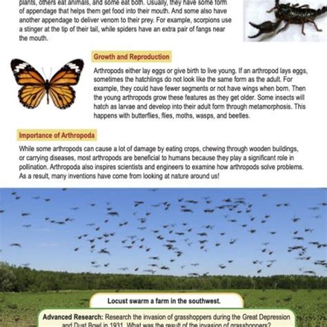 Phyla Arthropoda Free Pdf Download Learn Bright