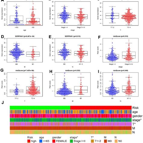 correlation between risk score signature and clinicopathological