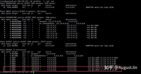 Docker网络模式 知乎