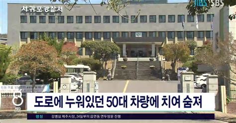 도로에 누워있던 50대 차량에 치여 숨져