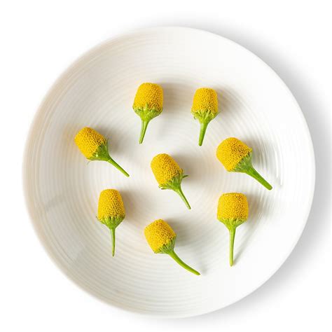Micbuz01e Edible Flower Buzz Button 50ct Pacific Coast Fresh Co