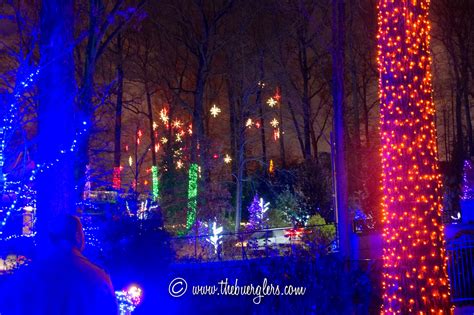 The Buerglers Girls Night Out Atlanta Botanical Gardens